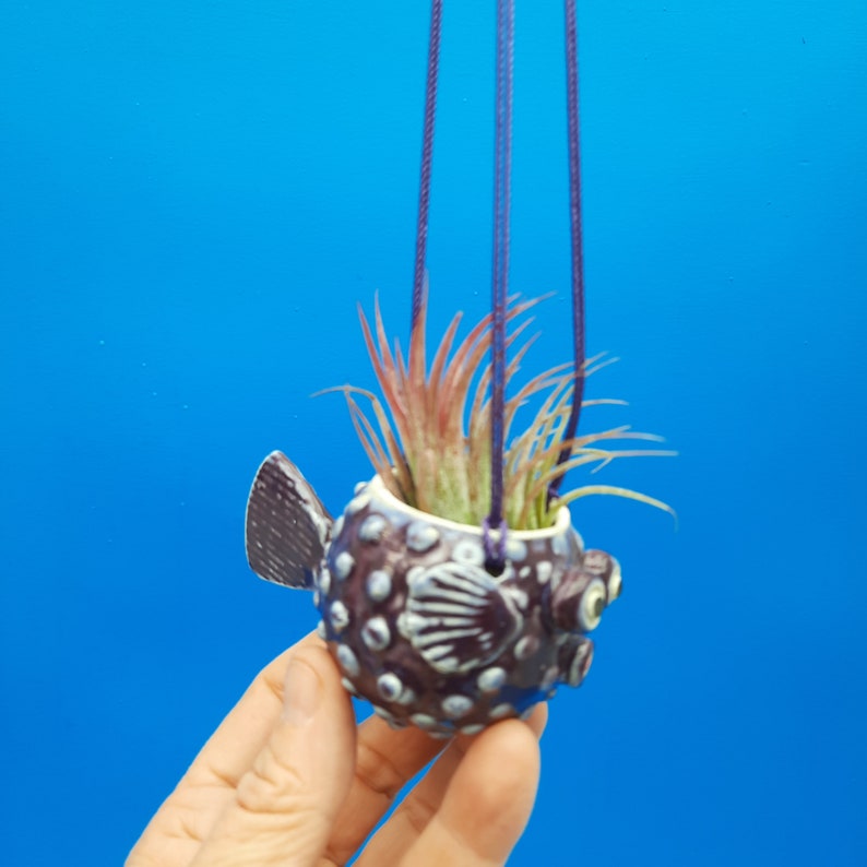 Mini Hanging Puffer Fish Planters Air Plants Whimsical Gift - Etsy