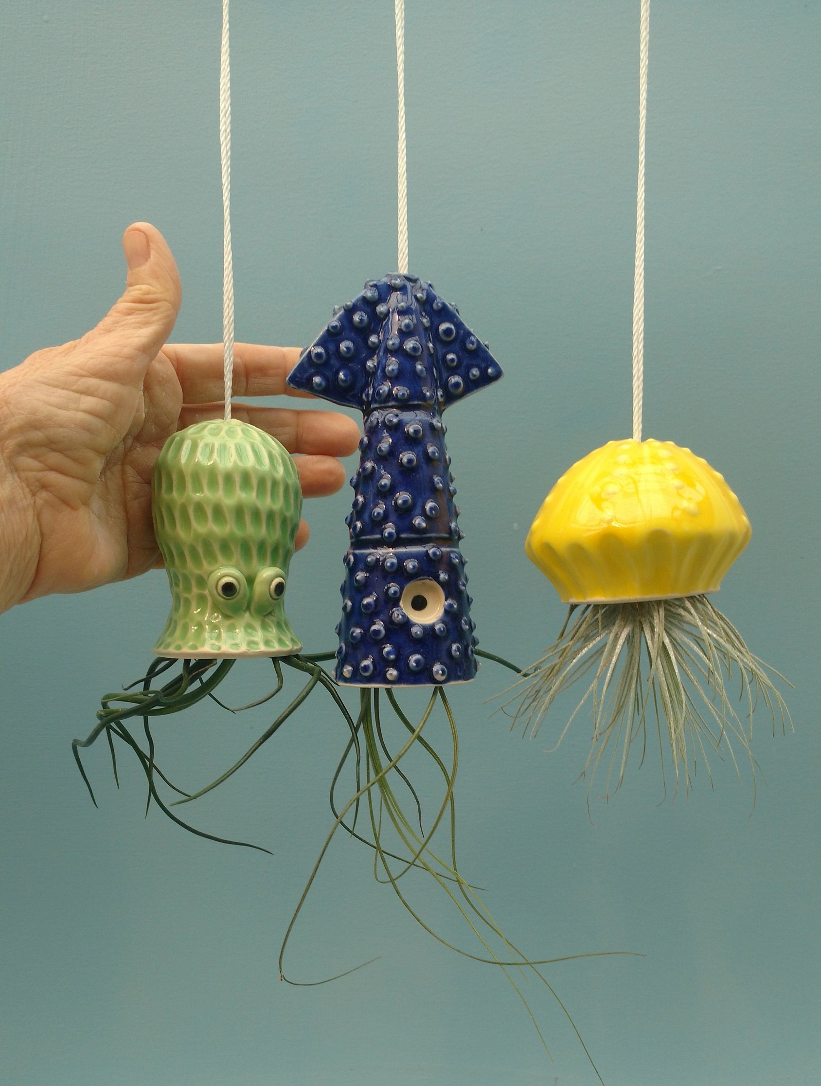 Small Squid Air Plant Planter Hanging Planter Whimsical | Etsy