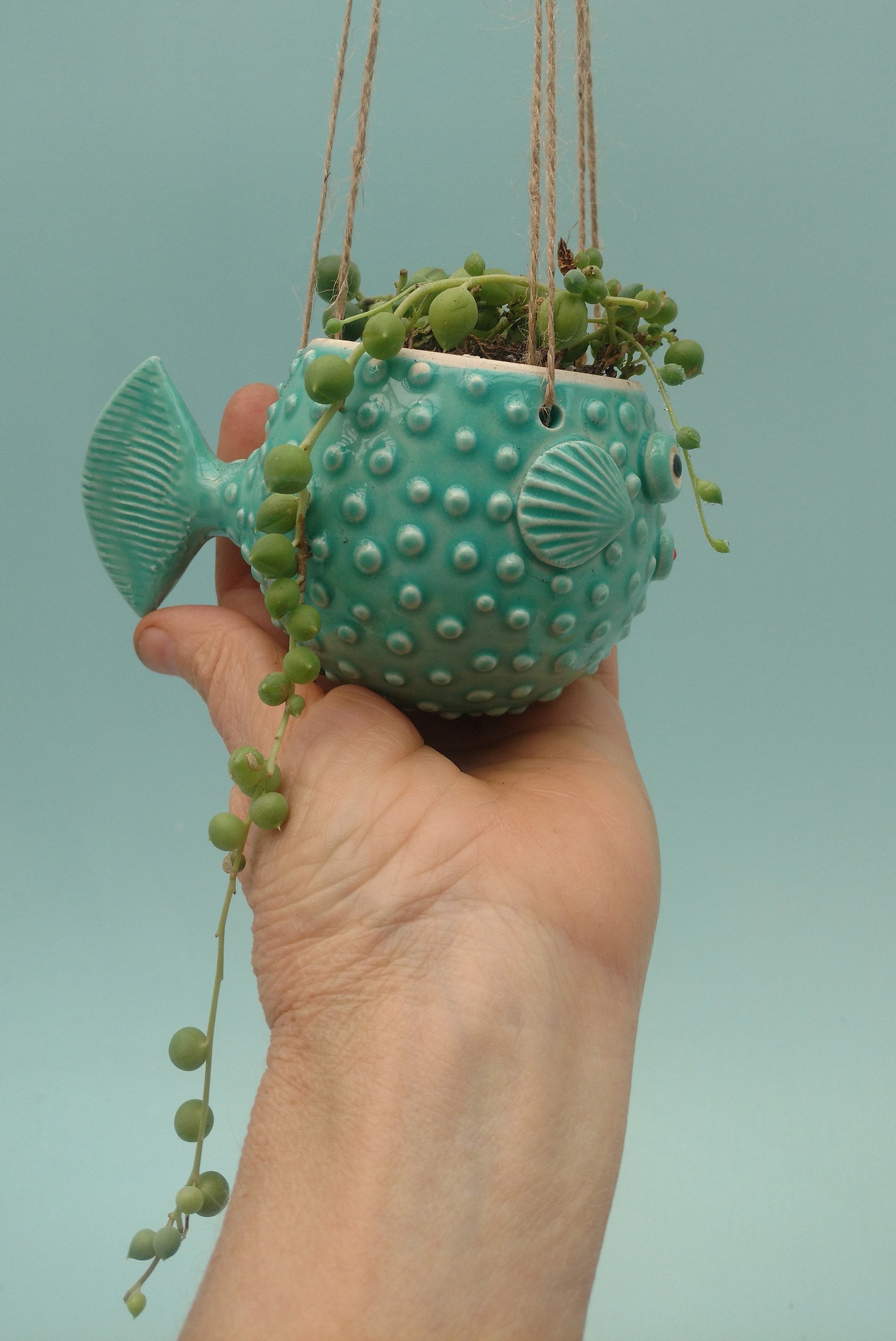 Hanging Puffer Fish Planters Air Plants Succulents - Etsy Canada