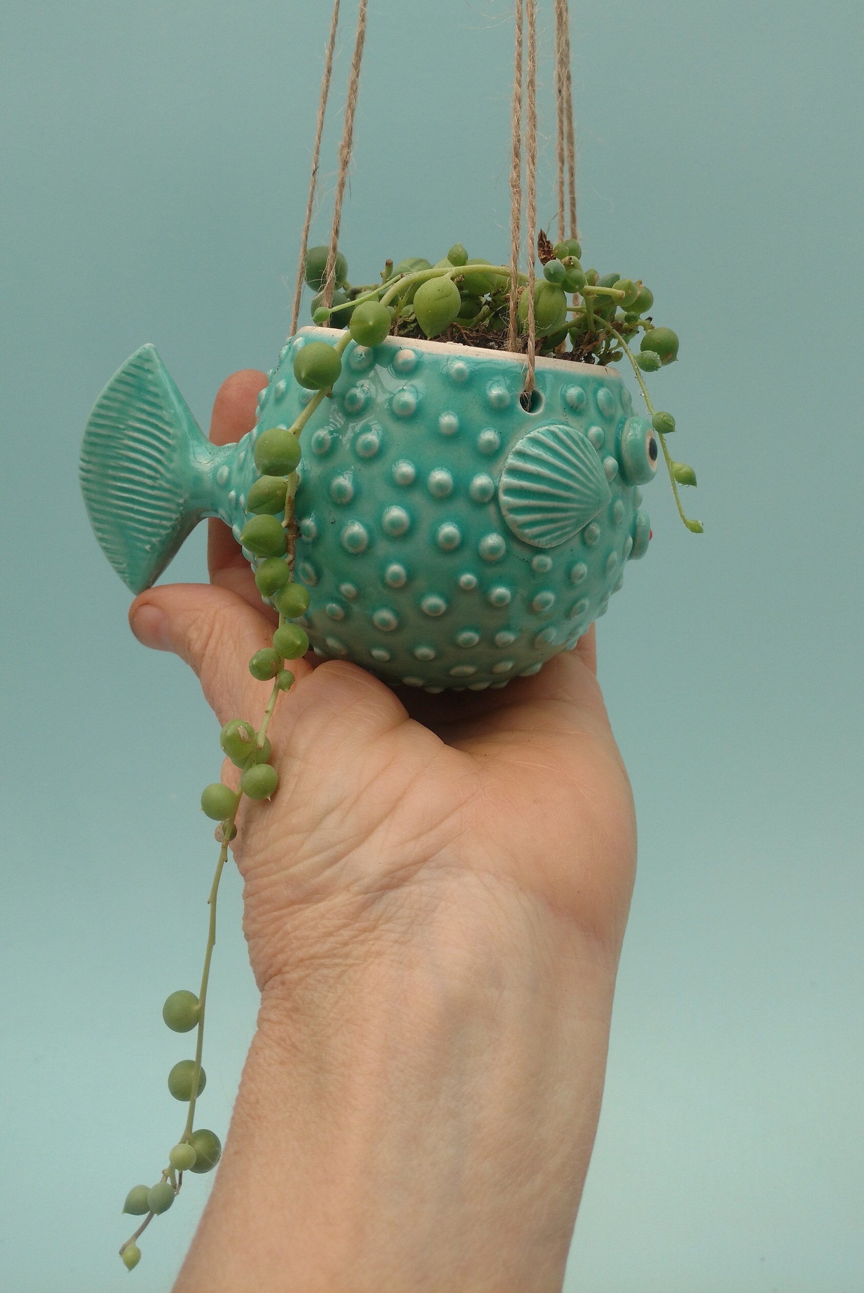 Hanging Puffer Fish Planters Air Plants Succulents - Etsy Canada