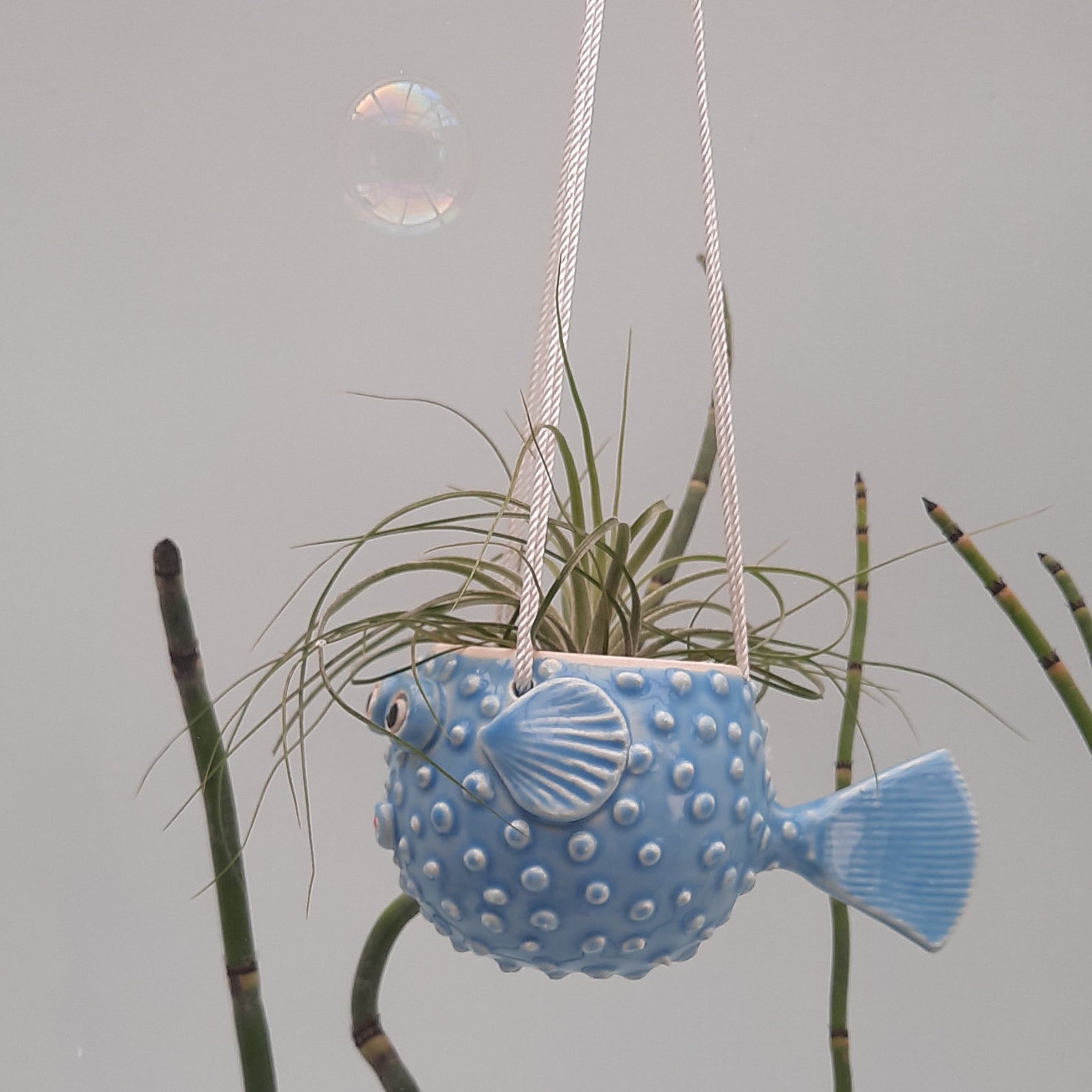 Hanging Puffer Fish Planters Air Plants Succulents - Etsy Canada