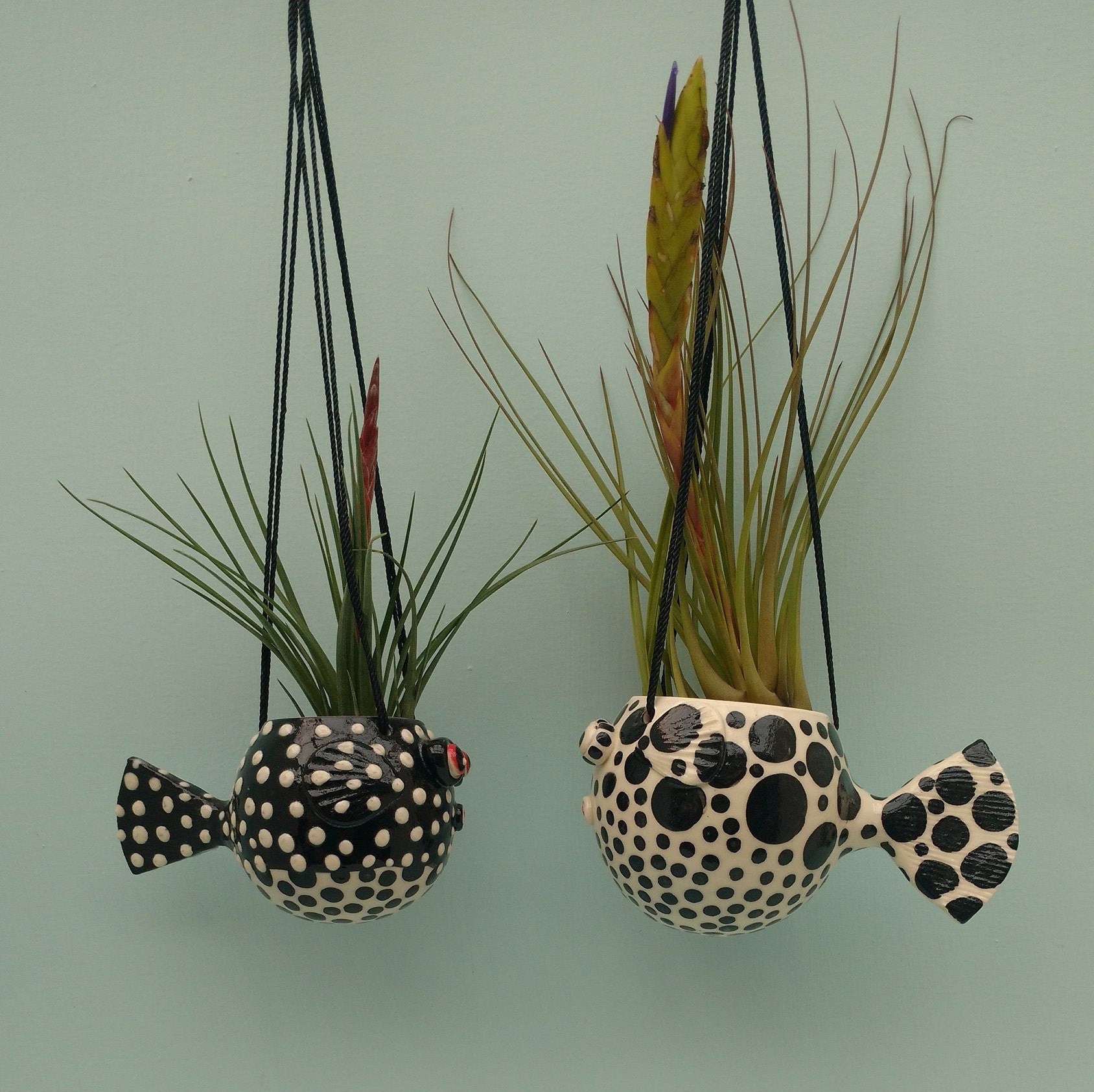 Map Puffer Fish Hanging Planter Small Air Plants Tropical | Etsy