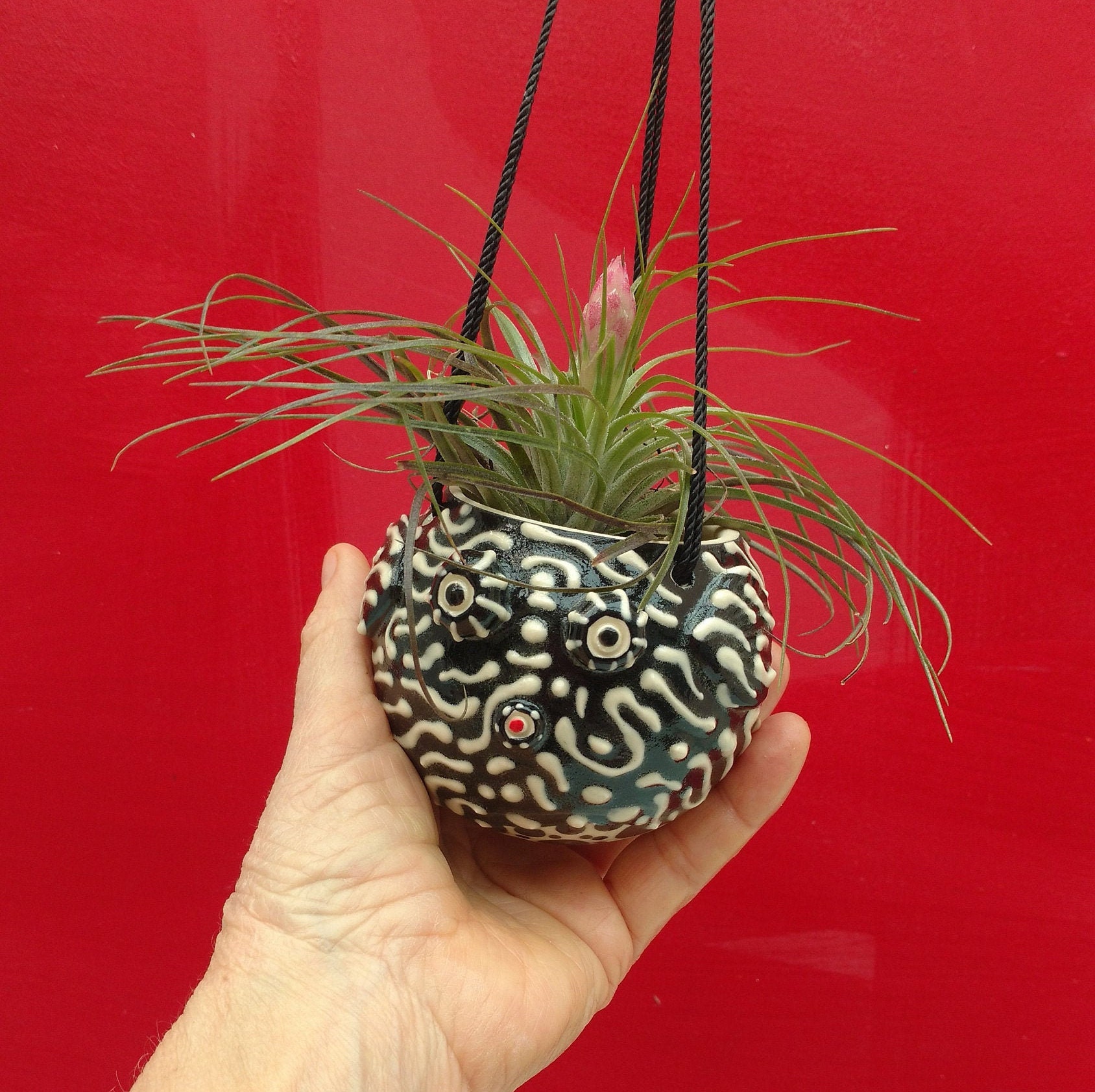 Map Puffer Fish Hanging Planter Small Air Plants Tropical | Etsy