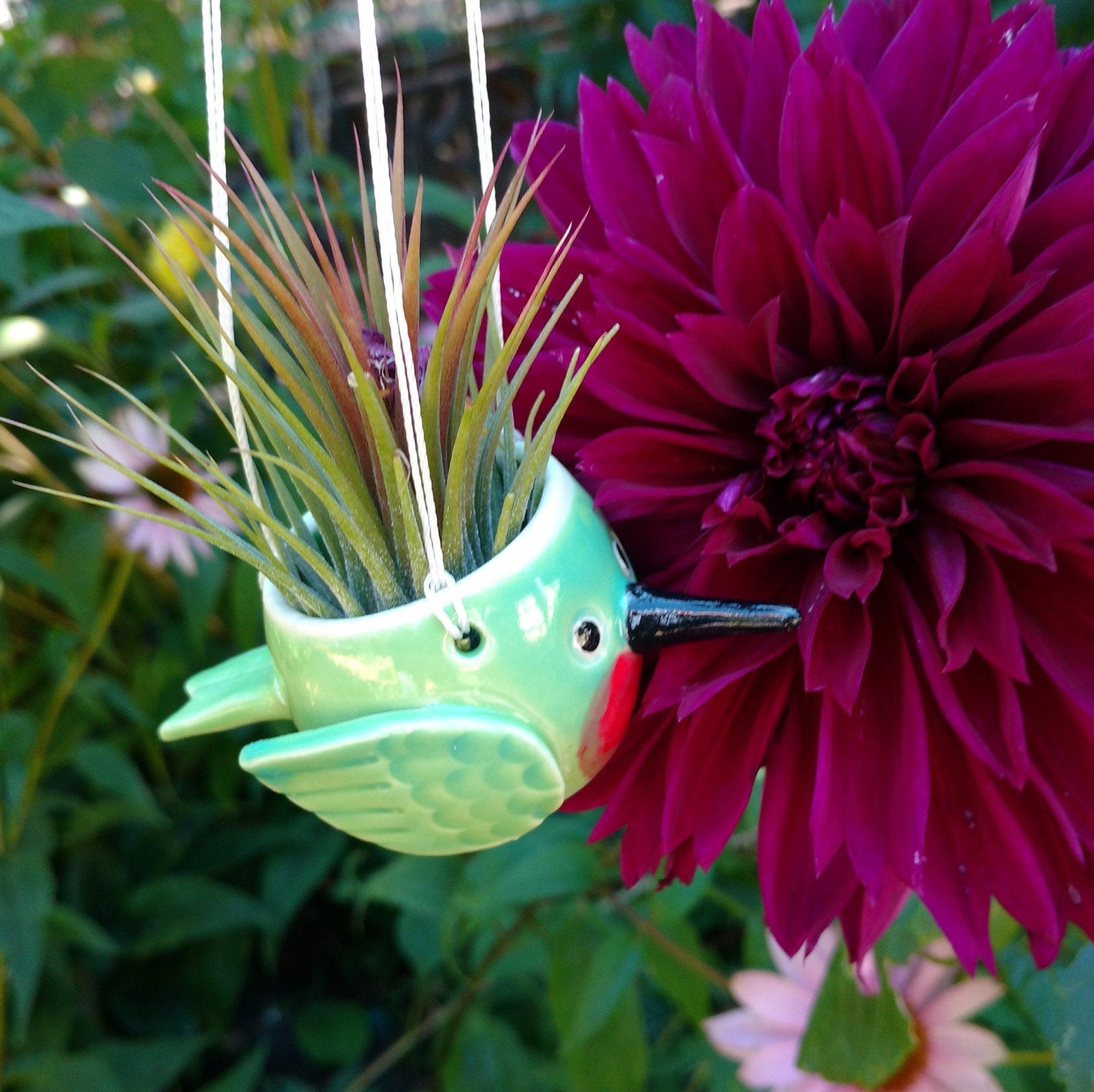 Hanging Hummingbird Air Planter Jewels of the Sky | Etsy