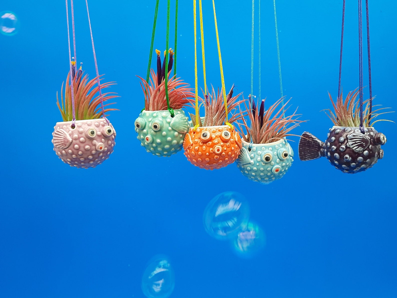 Mini Hanging Puffer Fish Planters Air Plants Succulents | Etsy
