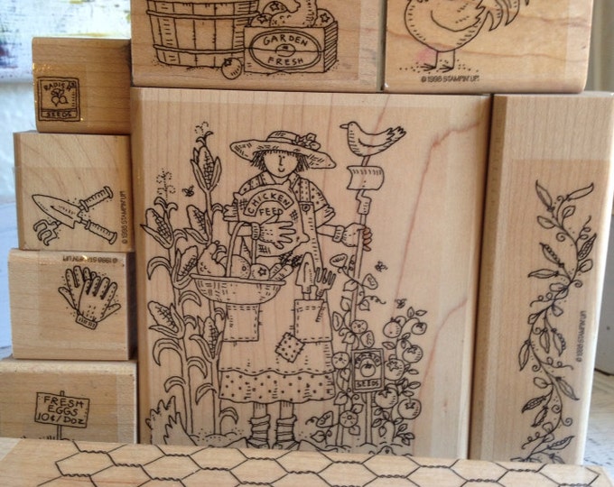 Stampin up Franny Farmer Set With Bonus Chicken Wire Stamp - Etsy