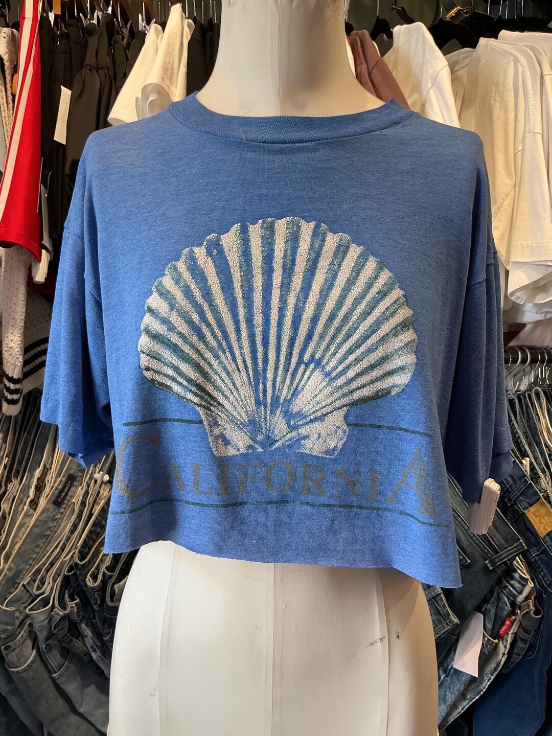 Vintage California Shell Graphic Cropped Tee - Etsy