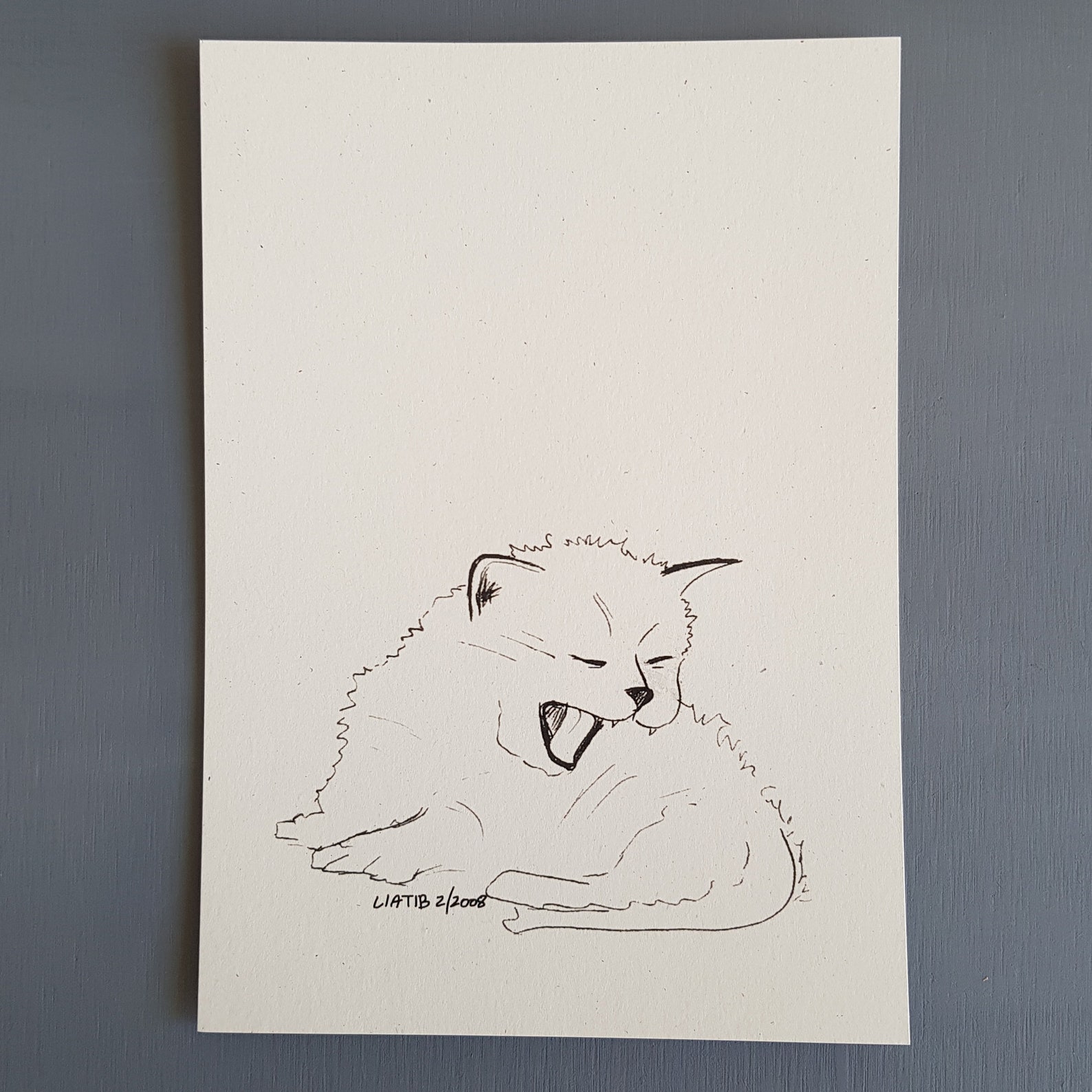 Shouting Kitten Sketch, Black and White Illustration Print on A5 Paper ...