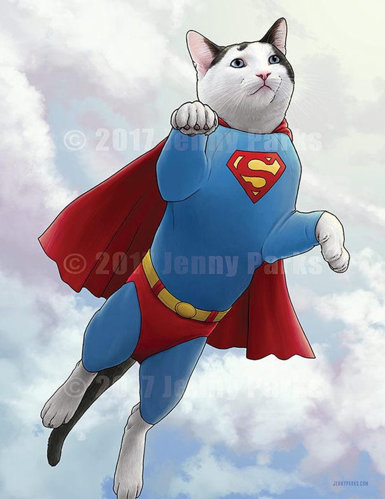 Supercat 8.5x11 Print | Etsy