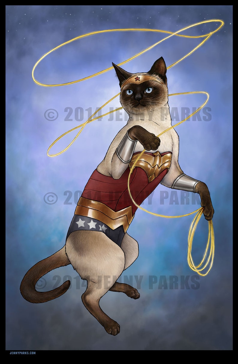 Wonder Cat 11x17 Poster | Etsy