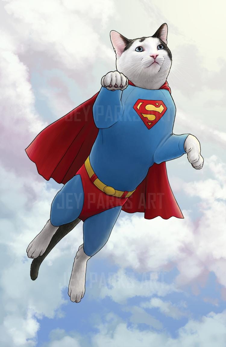 Supercat 11x17 Poster - Etsy