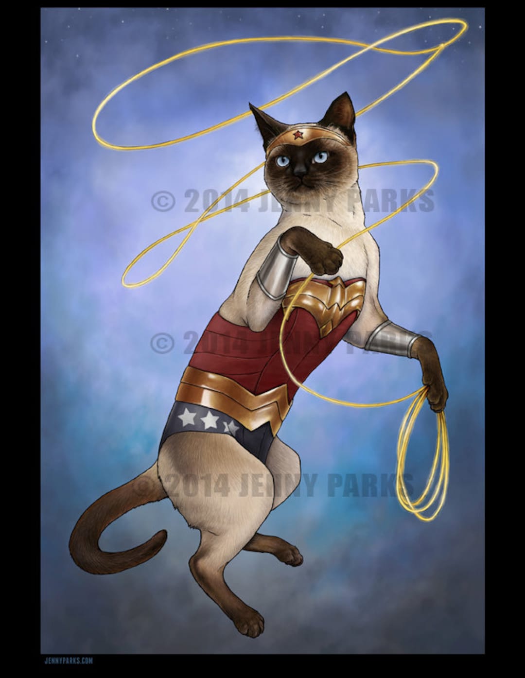 Wonder Cat 8.5x11 Print - Etsy