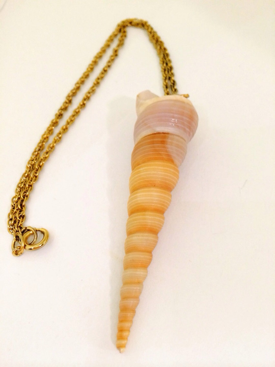 Vintage Shell Necklace Natures Beauty Décolleté Defining Collectible ...