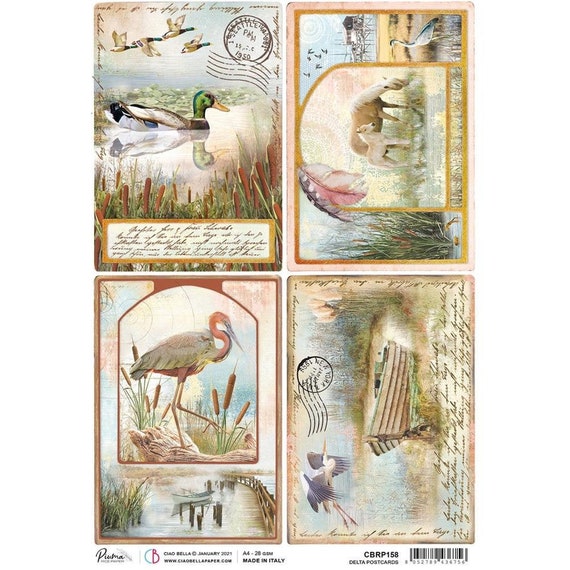 Delta RICE PAPER Ciao Bella Delta Nature Print Rice Paper - Etsy