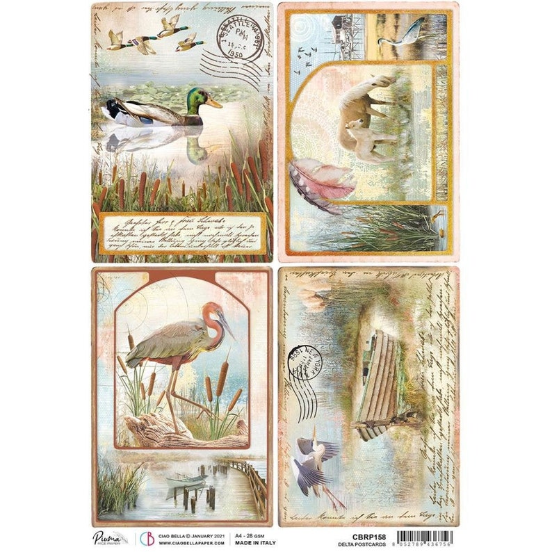 Delta RICE PAPER Ciao Bella Delta Nature Print Rice Paper - Etsy