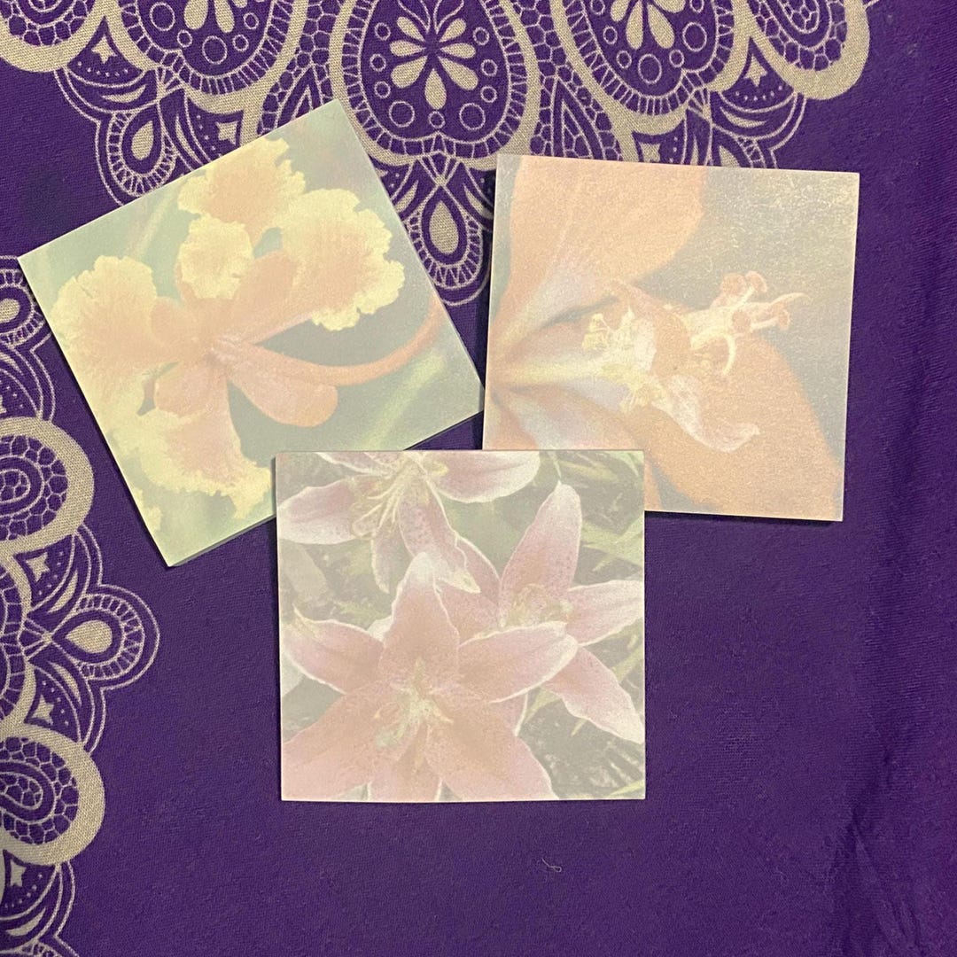 Hawaiian Flowers Post-it Notes: Original Photography, Set of 3 - Etsy