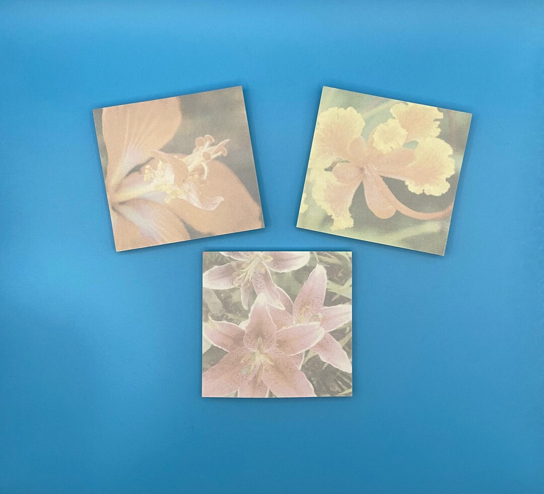 Tropical Flowers Post It Notes, Set of 3 Maui, Oahu, Wonderful Gift ...