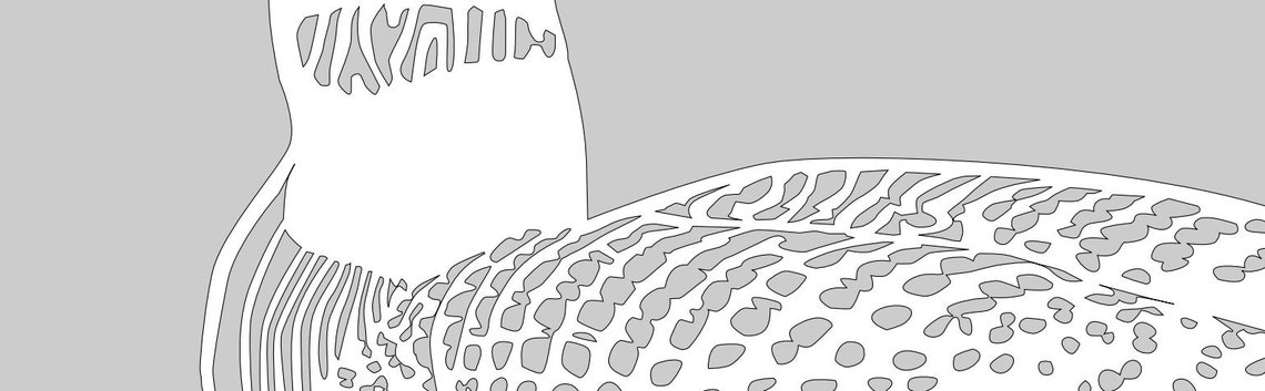 Common Loon Scroll Saw Pattern FIS-051 pdf, Jpg - Etsy