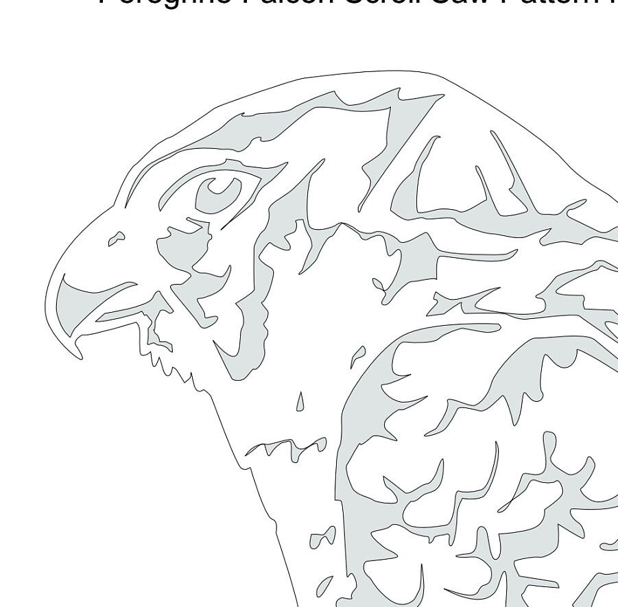 Peregrine Falcon Scroll Saw Pattern FIS-163 pdf, Jpg - Etsy