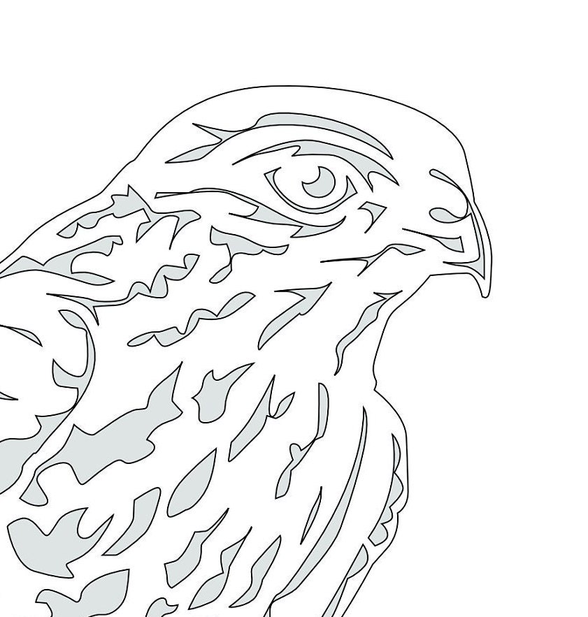 Young Peregrine Falcon Scroll Saw Pattern FIS-172 pdf, Jpg - Etsy