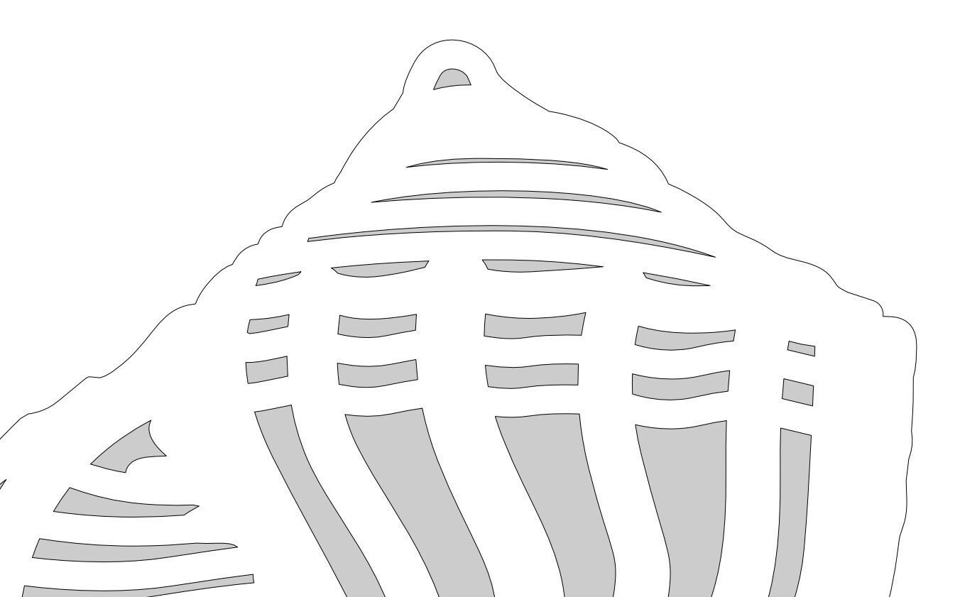 Lightning Whelk Seashell Scroll Saw Pattern FIS-038 pdf, Jpg - Etsy