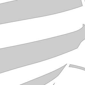 Banded Tulip Seashell Scroll Saw Pattern FIS-006 pdf Jpg - Etsy