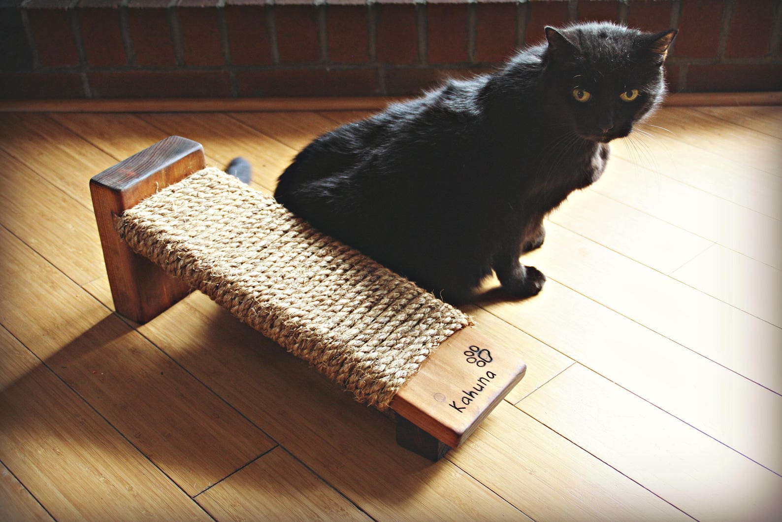 Personalized Cat Scratch Toy Cat Toys Gift for Cat Lovers - Etsy