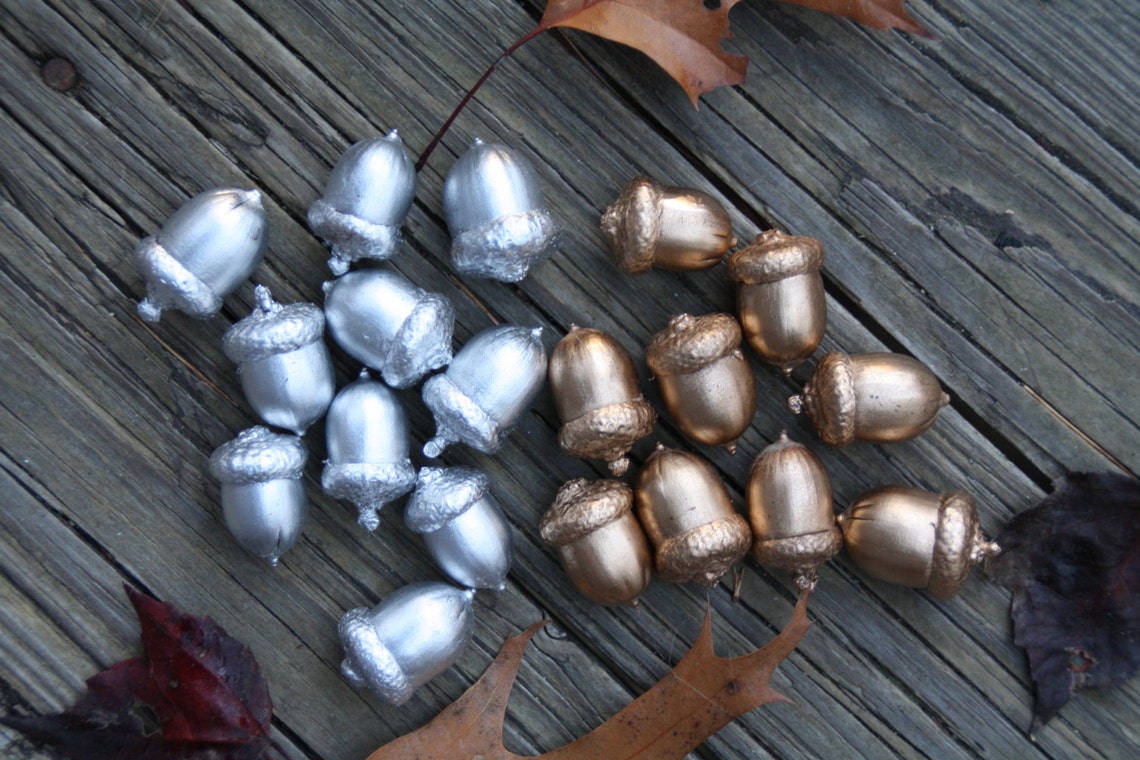 Gold and Silver Acorns With Affixed Caps Real Acorns Autumn - Etsy