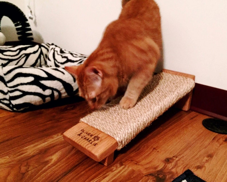 Personalized Cat Scratch Toy Cat Toys Gift for Cat Lovers - Etsy