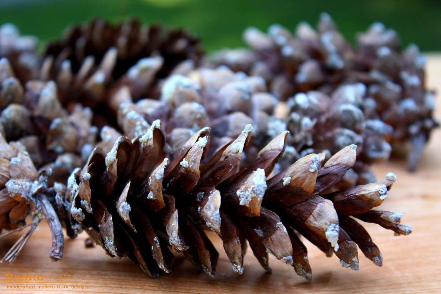 Medium-Large Pine Cones Autumn crafts fall decorations DIY | Etsy