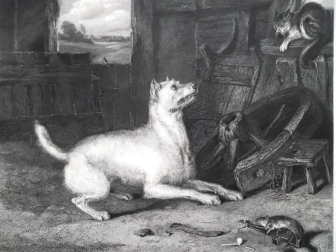 DOG Mouse in Trap Cat Intruder by Landseer SUPERB Engraving Original ...