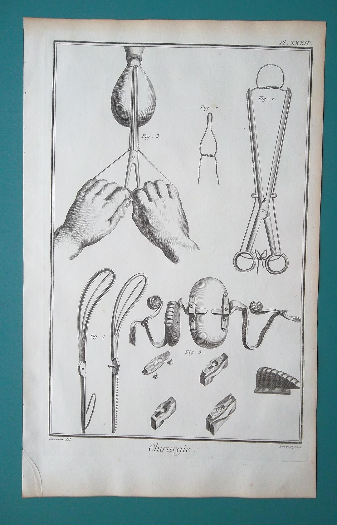 SURGERY Surgical Instruments Uterus Polyps Removal Wire Tweezers ...