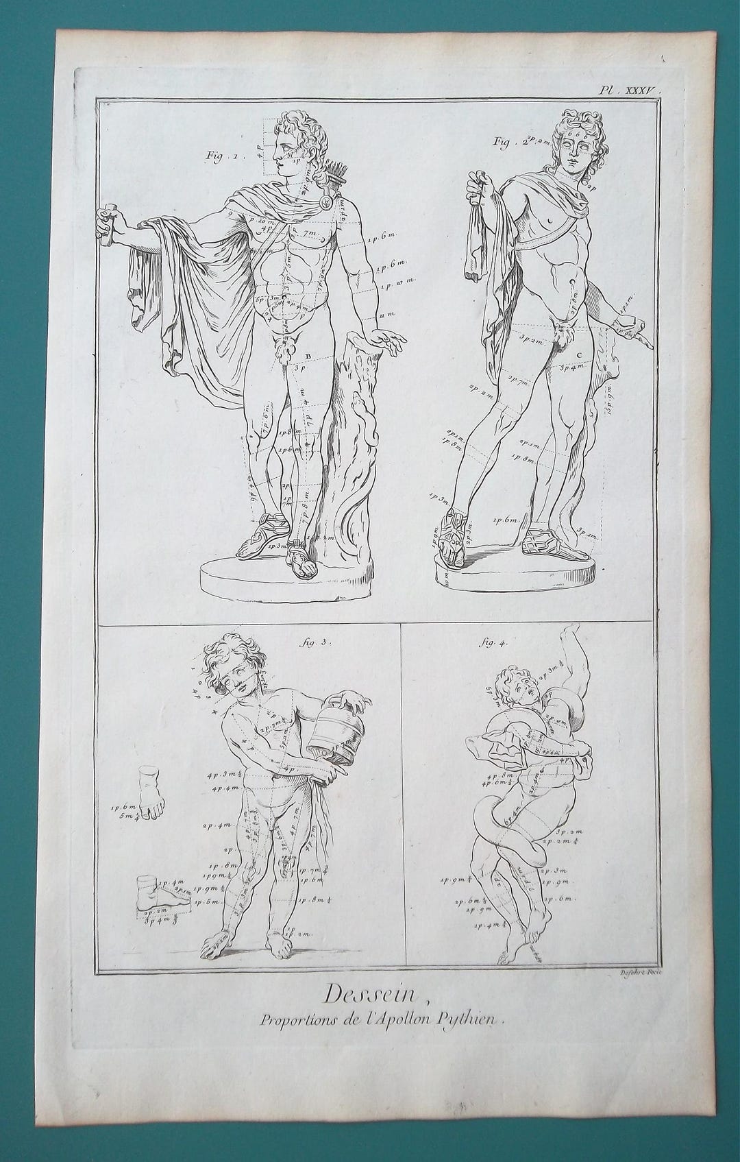 ANATOMY for ARTISTS Human Male Figure Pythian Apollo + Children ...