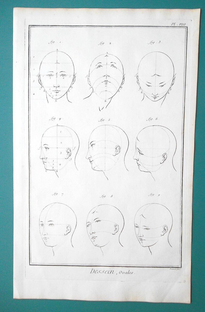 ANATOMY for ARTISTS Human Head Proportions Views From Different Angles ...