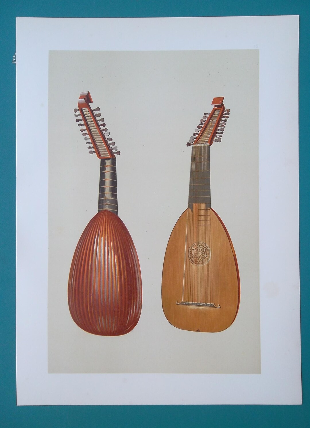 MUSICAL INSTRUMENTS Italian Lute Used by Joseph Haydn - 1888 COLOR ...