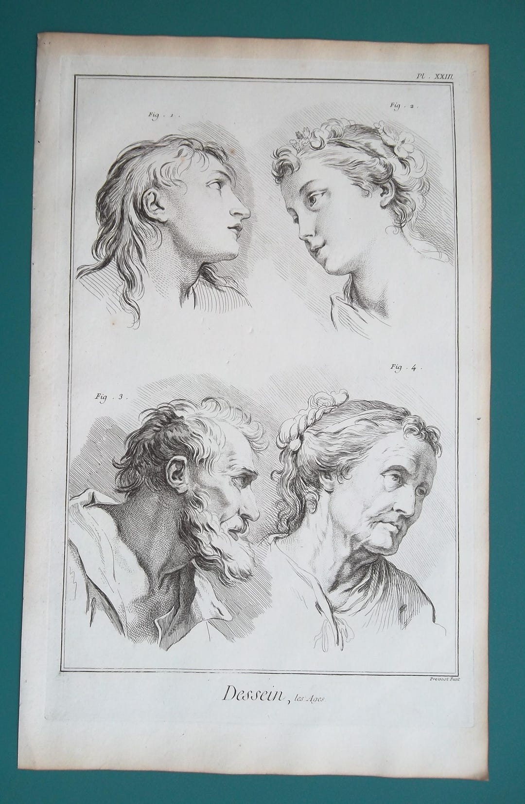 ART SCHOOL Drawing Human Faces Different Ages After Boucher 1763 ...