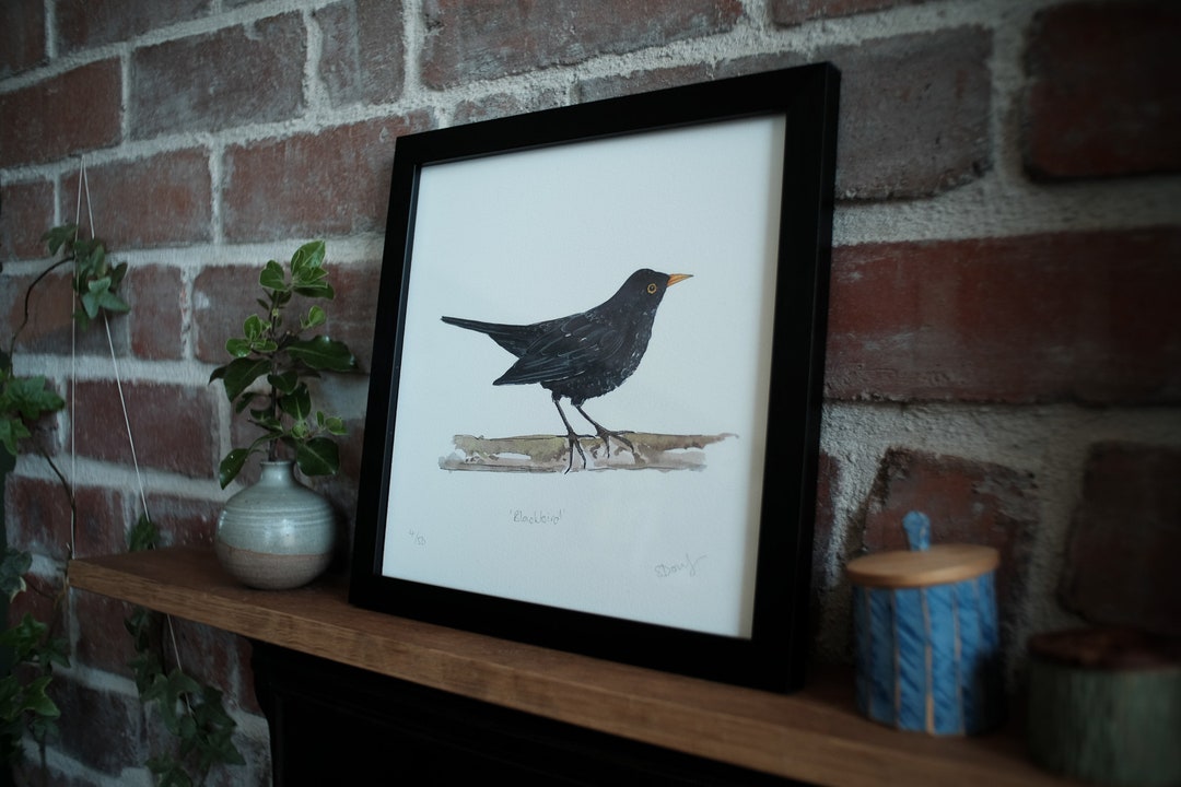 Blackbird Print - Etsy
