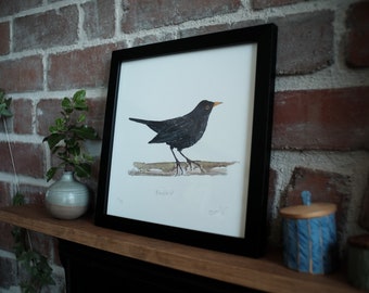 Beautiful Blackbird Limited Edition A4 Print - Etsy