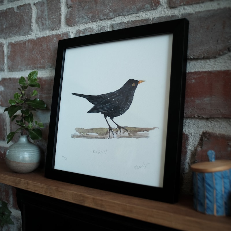 Blackbird Print - Etsy Australia