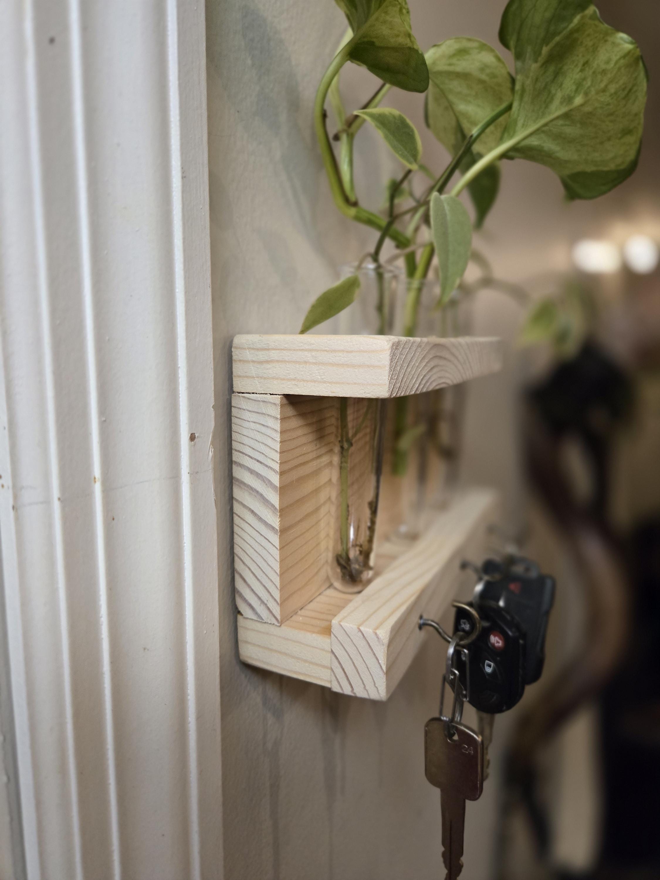 Plant Propagation Station Key Hook Rack Shelf Propagation Shelf Key ...