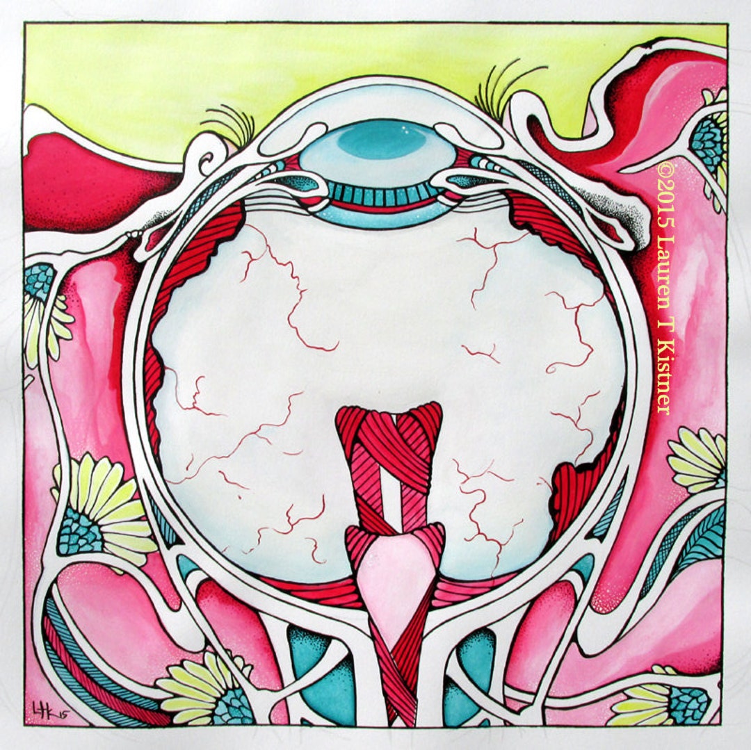 The Cornea the Better - Fine Art Print - Wall Decor- Wall Art - Anatomy ...
