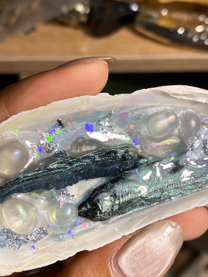 Preserved Fish in an Oyster Shell - Etsy UK