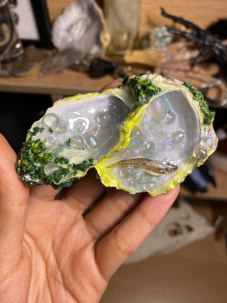 Preserved Fish in an Oyster Shell (mini Cluster) - Etsy UK