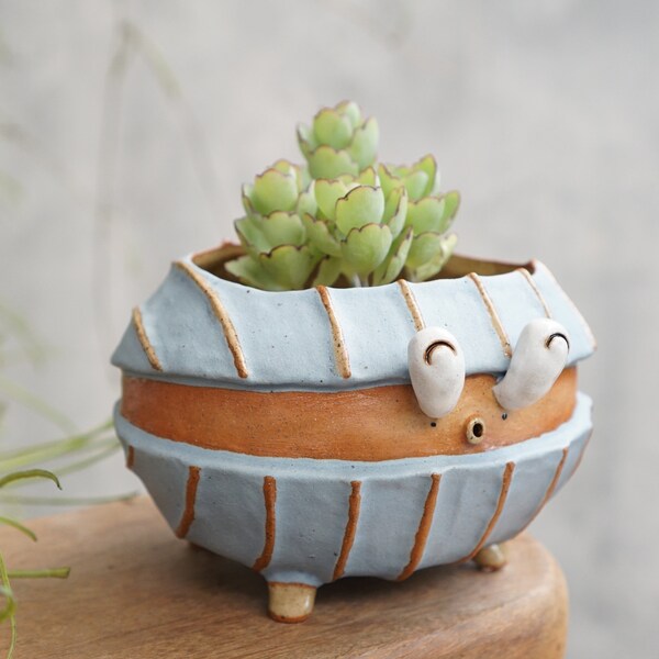 Clam Shell Planter - Etsy