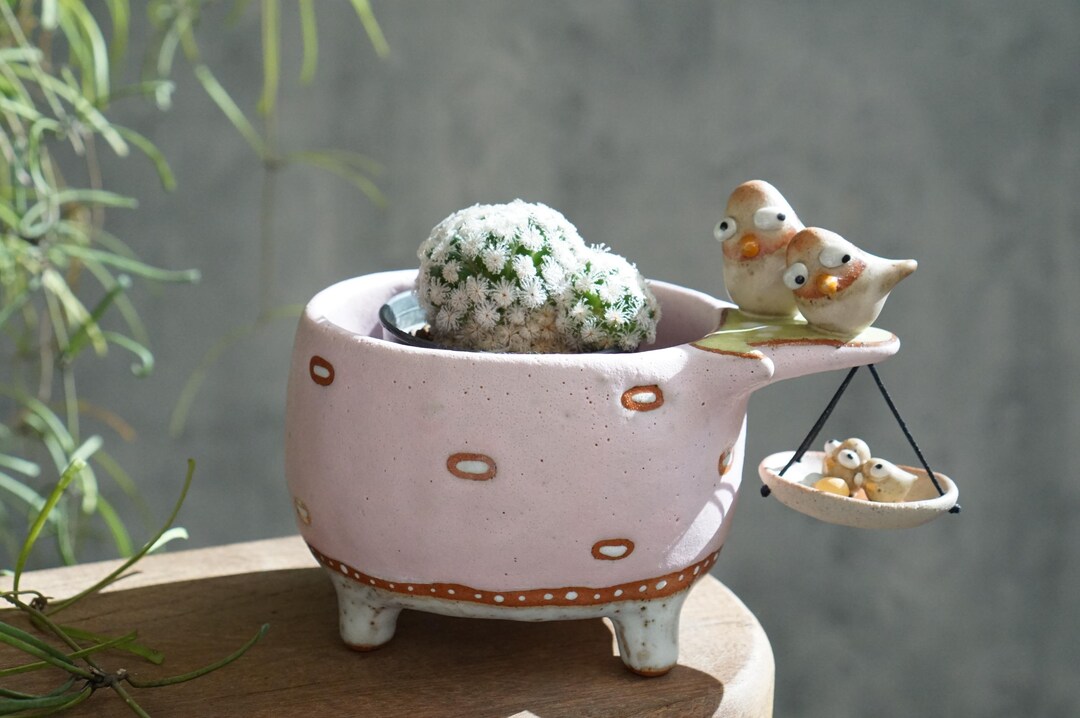 Bird Plant Pot for Cactus , Handmade Ceramic , Pottery - Etsy