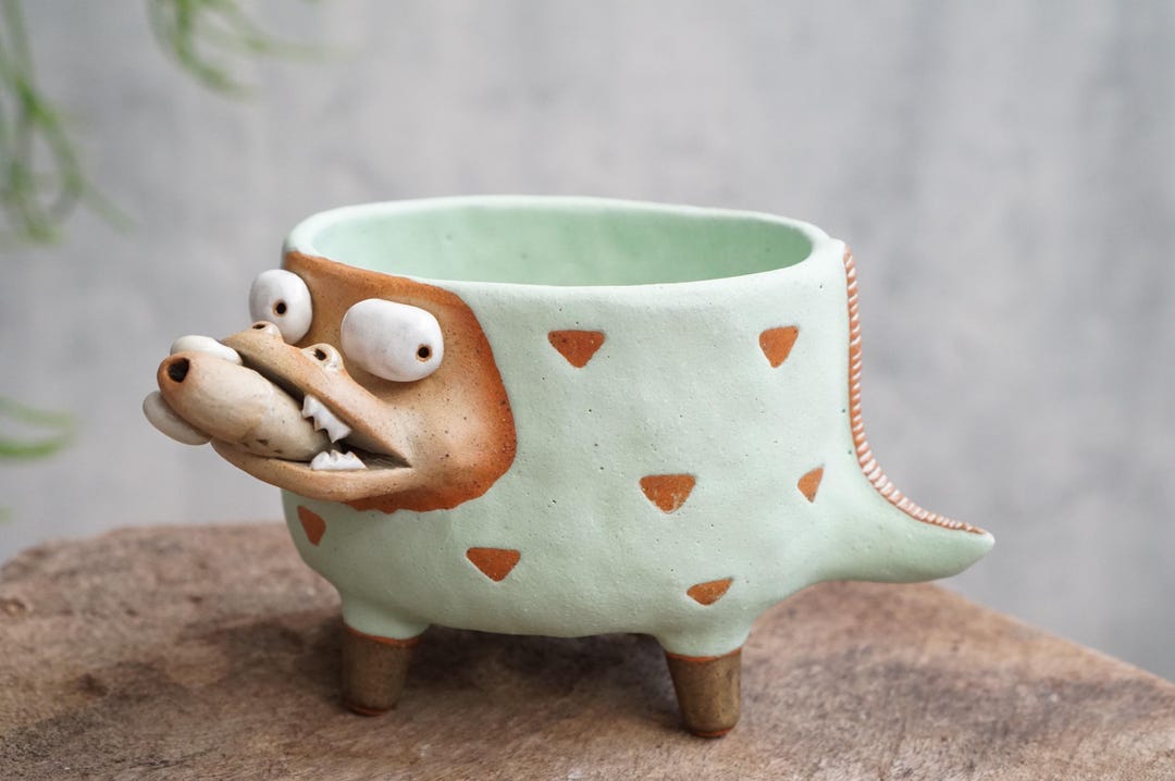 Crocodile Plant Pot ,two Tone,cactus,ceramics,pottery,handmade ...