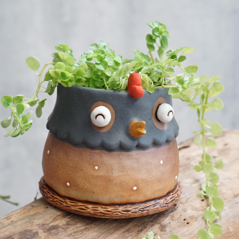 Hen Planter - Etsy