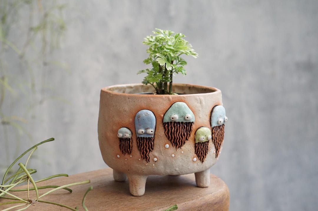 Jellyfish Planter ,fish Plant Pot, Handmade Ceramic , Cactus - Etsy