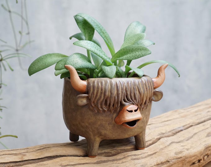 Highland Cow Plant Pot ,cow Pottery Handmade ,black Cow - Etsy