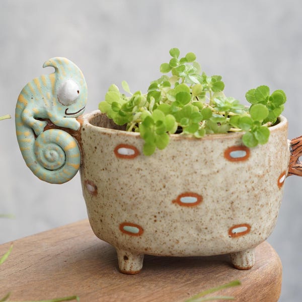 Chameleon - Etsy